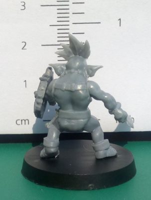 Shieldwolf Miniatures: Forest Goblin Infantry Review – Brückenkopf ...