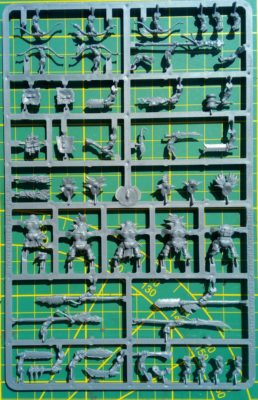 Shieldwolf Miniatures: Forest Goblin Infantry Review – Brückenkopf ...