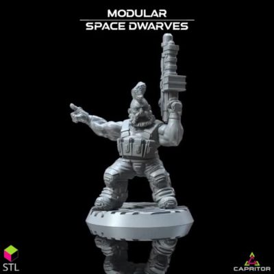 Modular Space Dwarfs: Kickstarter – Brückenkopf-Online.com – das ...
